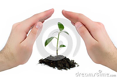 Protection Of The Life Stock Photography - Image: 1903042