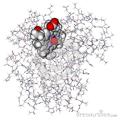 Protein Myoglobin 3D Model Stock Image | CartoonDealer.com #25646869