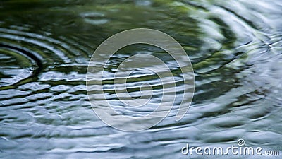 Puddles after Rain stock video. Video of simplicity, action - 61939913