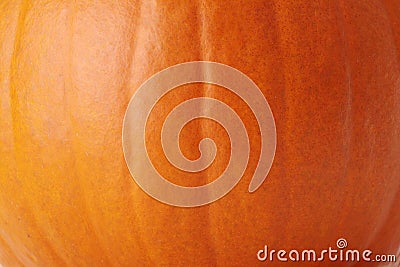 Pumpkin Skin Texture Stock Image - Image: 11458271