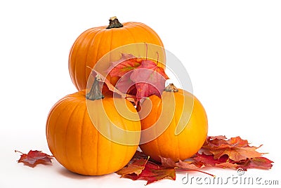 Christopher Elwell (Celwell) - Photographer profile