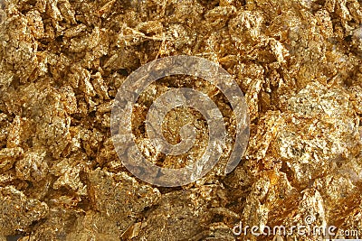 Natural Placer Gold Nuggets Stock Image - Image of mining, yellow: 9209975