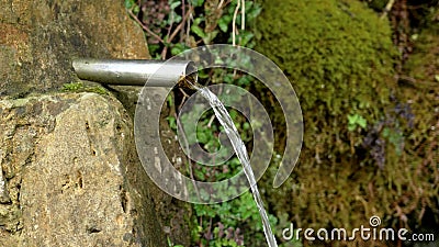Pure Spring Water Flowing from Pipe in Wild Mountain Nature Reserve ...