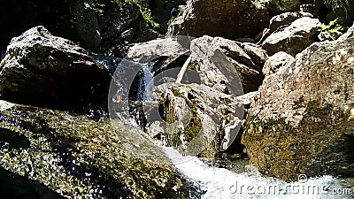 Pure Water Flowing from the Mountain River. See Underwater Stock Video ...