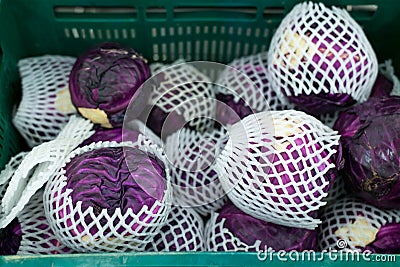 Purple Cabbage On A Farm Stand Royalty-Free Stock Photography ...