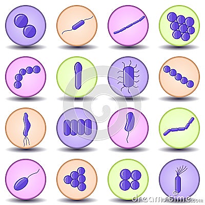 Purple Coccus, Bacillus, Curved Bacteria In Circles Shape. Stock ...