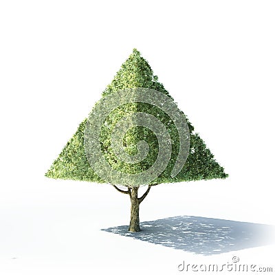 Pyramid Shaped Tree Royalty-Free Stock Image | CartoonDealer.com #42432664