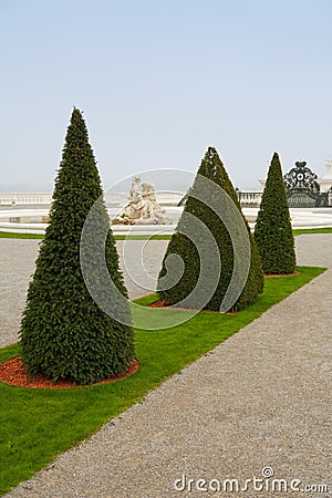 Pyramid Shaped Trees Stock Photos - Image: 13142873