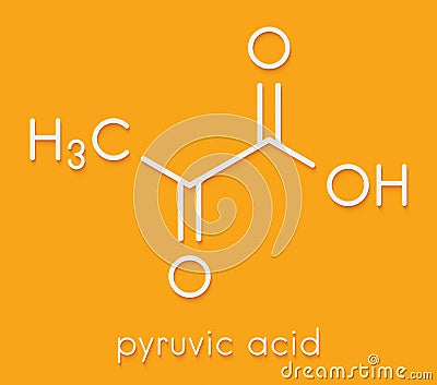 Pyruvic Acid Pyruvate Molecule. Important Intermediate In A Number Of ...