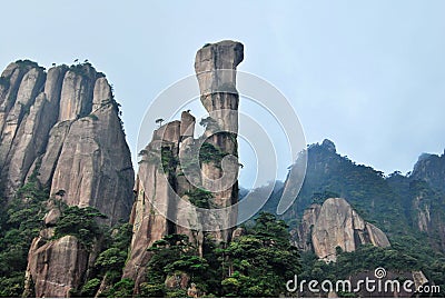 Python Stone Royalty-Free Stock Photography | CartoonDealer.com #6546563