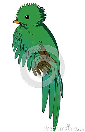 Quetzal Royalty-Free Cartoon | CartoonDealer.com #74396372