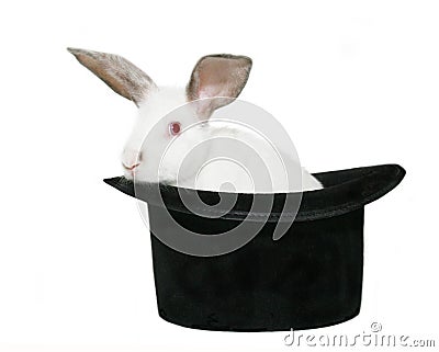 Rabbit In A Hat Stock Images - Image: 6467264