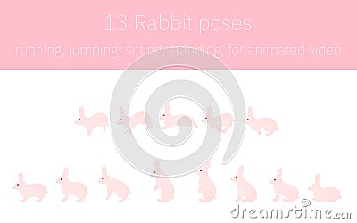 Rabbit Movements For Animation, Running And Jumping And Standing Up ...