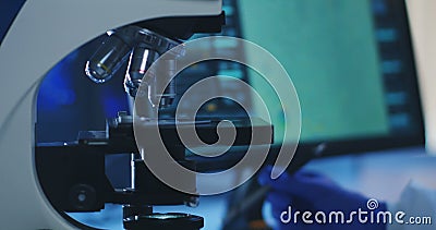 Bacteria Sample Examined with Microscope Stock Footage - Video of ...