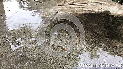 Rain Drops Drip on Messy Concrete Stock Footage - Video of light ...