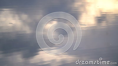 Rain Drops Falling On A Lake In Golden Sunset Reflection Stock Video ...