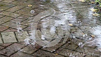 Rain on sidewalk puddle stock video. Video of 1080p, puddle - 59496423