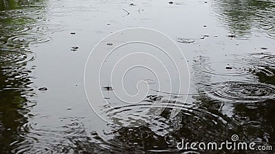 Rain water drop bubble stock video footage. Video of natural - 35779370