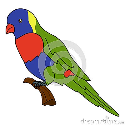 Rainbow Lorikeet Illustration Vector | CartoonDealer.com #138102434