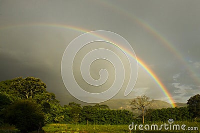 A Rainbow Is A Meteorological Phenomenon That Is Caused By Reflection ...