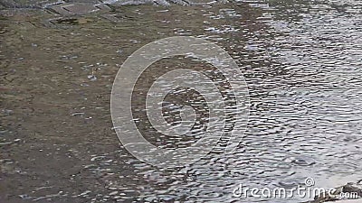 Raindrops Falling on Ground. Rain Splashes Hit Ground, Stock Footage ...