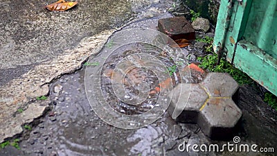 Raindrops Falling in Puddles Stock Footage - Video of real, exterior ...