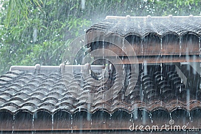 Raining On The Roof Royalty Free Stock Photo - Image: 21504465