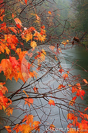 Rainy Fall Day Stock Photo - Image: 1469960