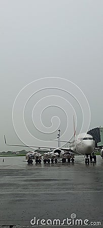 Rainy Loading Unloading Activity Aircraft Editorial Image ...