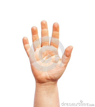 Raised Hand Isolated On White Stock Photography | CartoonDealer.com ...