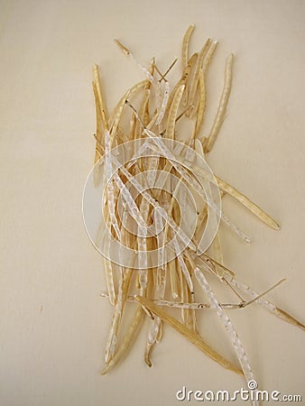 Rape Straw: Plant Residues From The Straw Of Rapeseed Royalty-Free ...