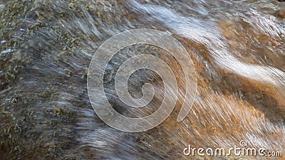 Rapid Movement of the Water Flow on the Surface of the Stone on a Sunny ...