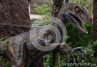 Raptor Stock Photo - Image: 70280