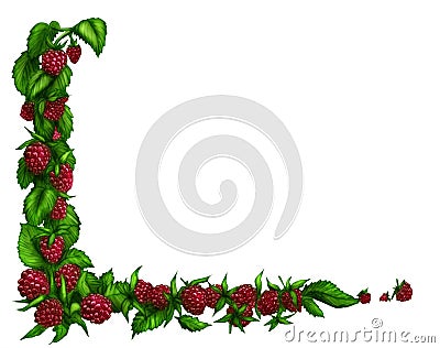 Raspberry Border Stock Photo | CartoonDealer.com #14587080