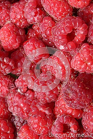 Raspberry Close-up Stock Image | CartoonDealer.com #14809225