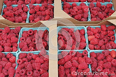 Raspberry Pints In Cardboard Flats Stock Photo - Image: 27970100