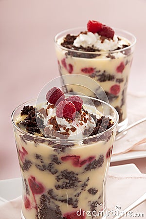 Raspberry Trifle Stock Image | CartoonDealer.com #32917879
