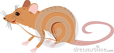 Rat Stock Vector - Image: 50342842