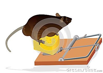 Rat And Mouse Trap Cartoon Vector | CartoonDealer.com #22225075