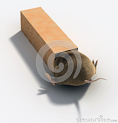 Rat Trap Stock Photo - Image: 6777100