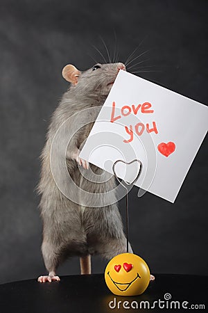 Rat with a love message stock image. Image of love, mouse - 4733351