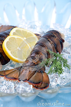 Raw Lobster Tails Stock Photo - Image: 13634150