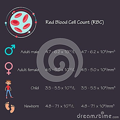 Red Blood Cell RBC Blood Test Medical Vector Illustration Infographic ...