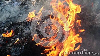 Real Fire Flame is Burning Hot on Black Background. Stock Video - Video ...