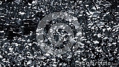 Real Frost on a Window Black Background. Stock Footage - Video of fresh ...