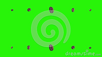 Realistic Coffee Beans Animation Graphic Element on Green Screen Chroma ...