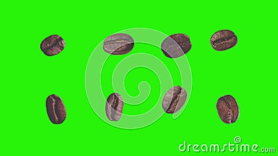 Realistic Coffee Beans Animation Graphic Element on Green Screen Chroma ...