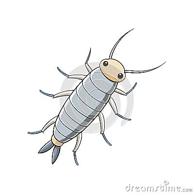 Realistic Color Illustration Of Silverfish Royalty-Free Cartoon ...