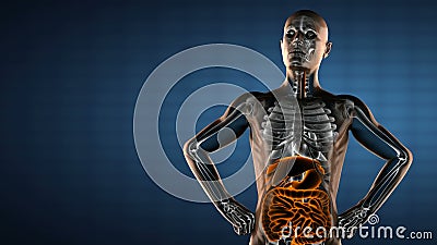 Realistic Human Entrails Radiography Scan Stock Video - Video of ...