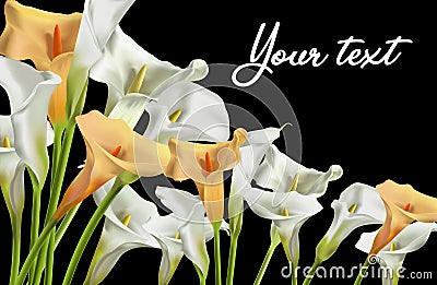 Realistic Kala Flower. For Design Of Leaflets, Banners. Colorful ...